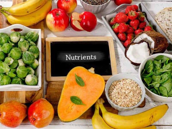 Nutrients- Overview, Significance, Types and Sources | Keto India