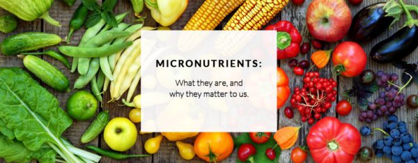 Nutrients- Overview, Significance, Types and Sources | Keto India