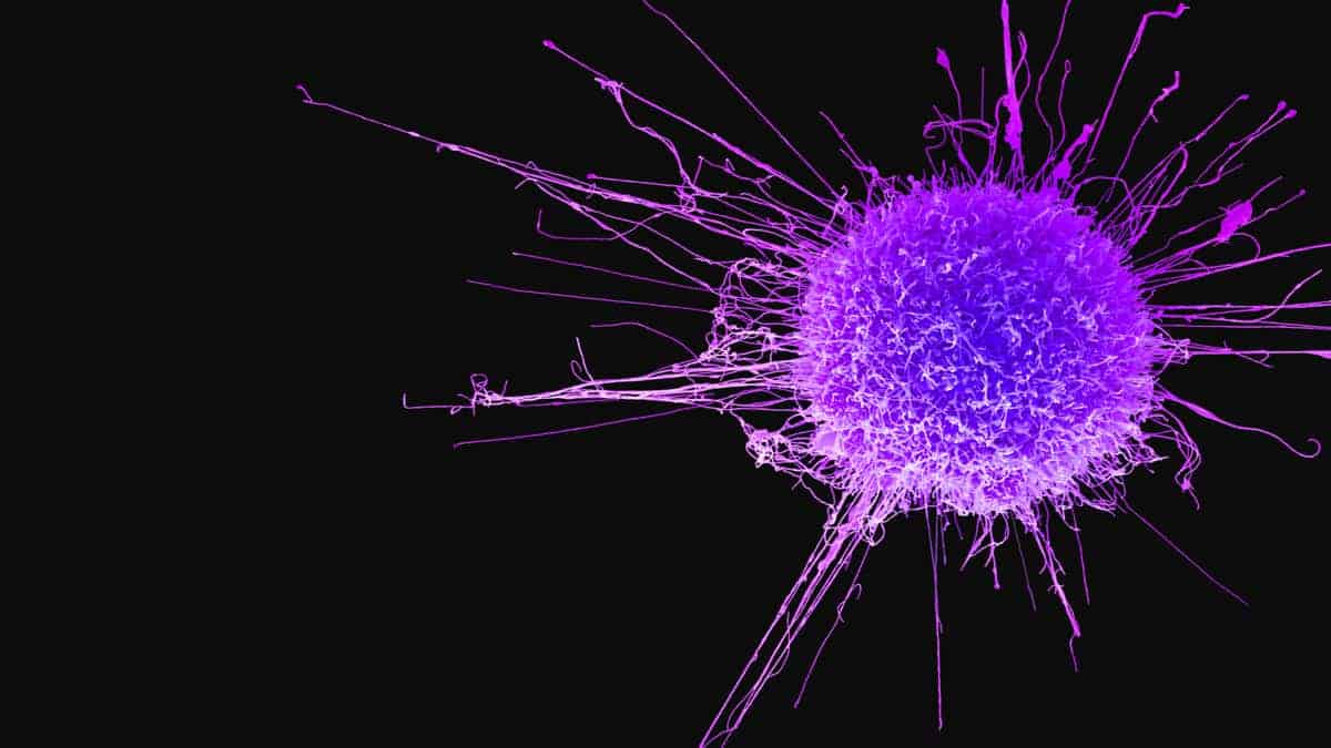 Cancer: Overview, Types, Symptoms, Causes And Possible Treatments