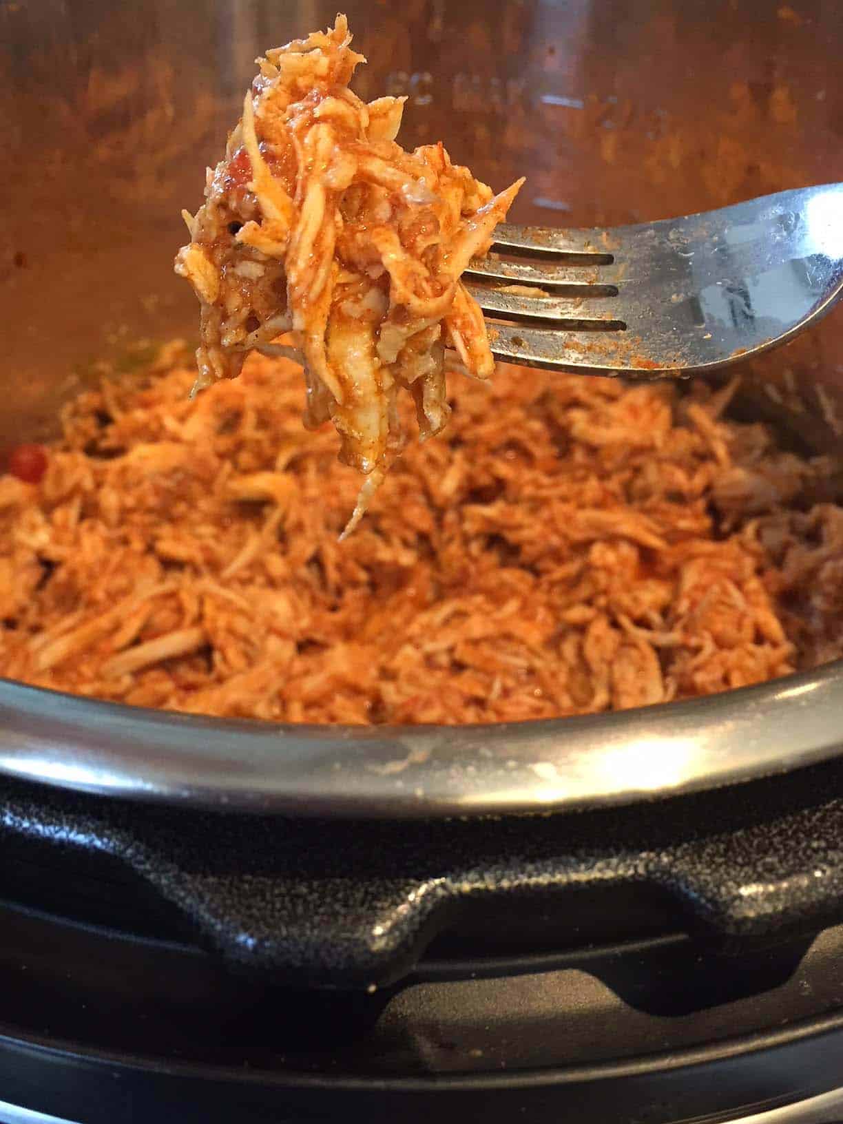 Instant Pot Salsa Chicken | PCOS Recipes | Livofy