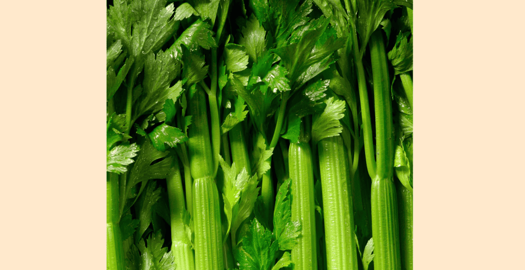 Zero Calorie Foods: 30 Foods with no Calories | Livofy