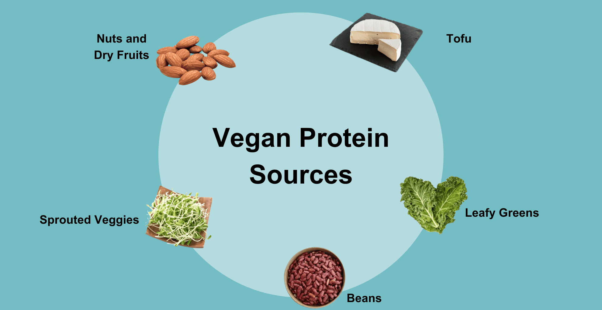20 Best Vegan Protein Sources and their Benefits | Livofy