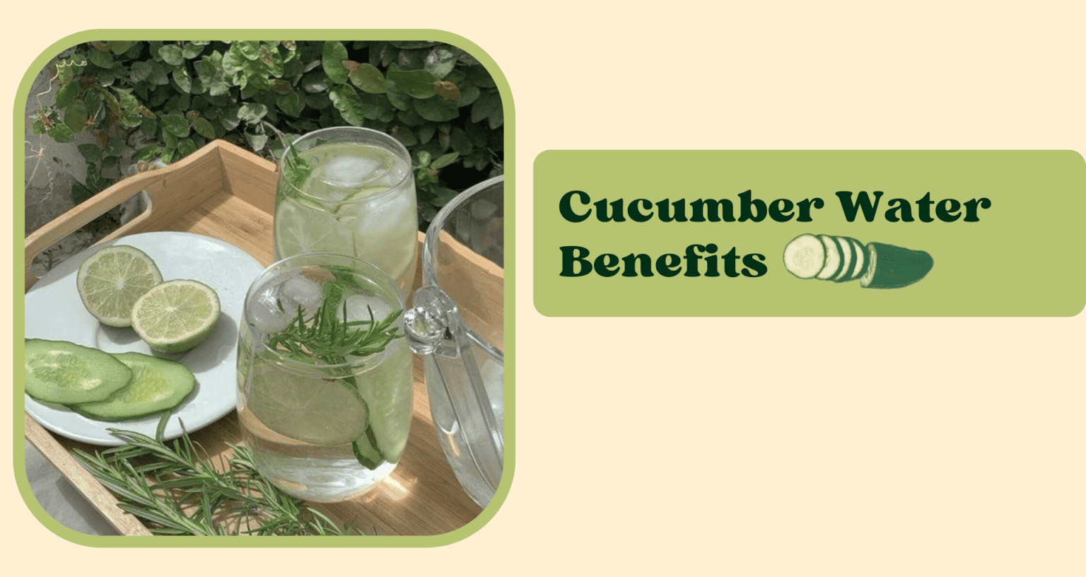 15 Benefits of Cucumber Water by Certified Nutritionists | Livofy