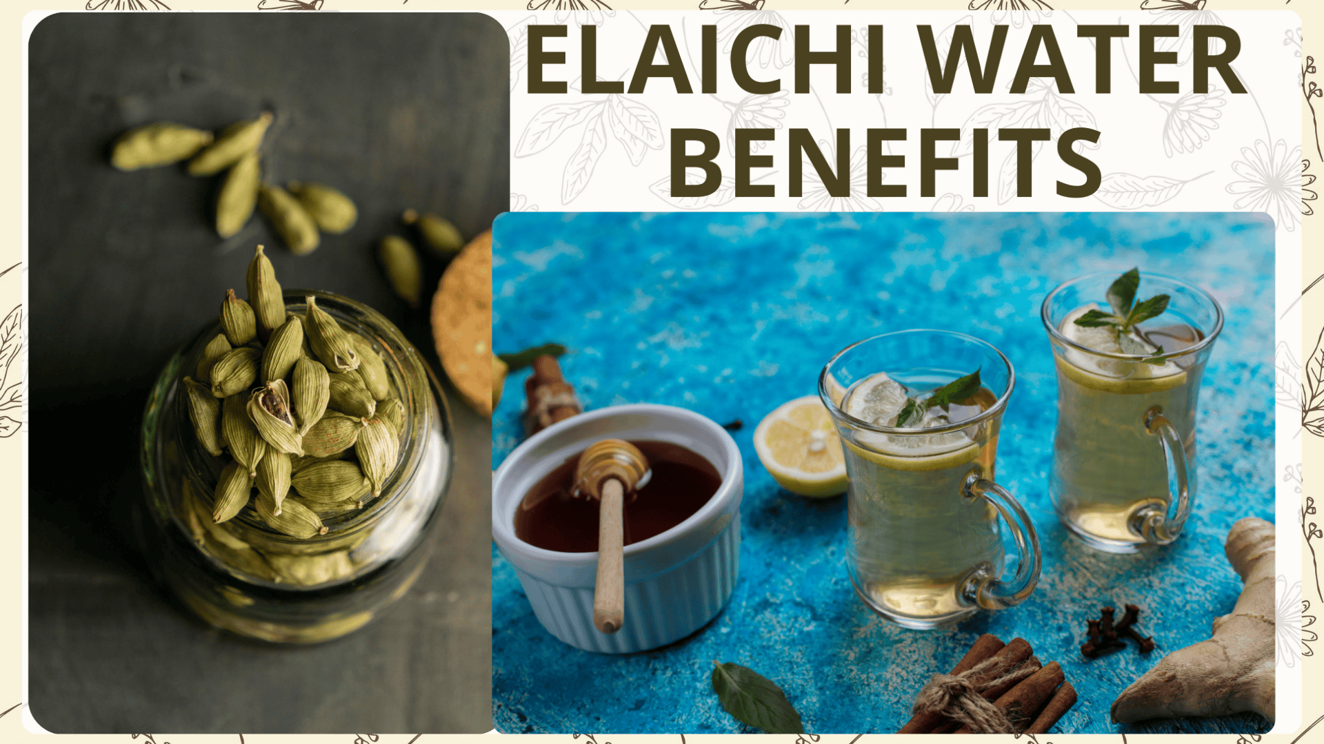10 Benefits of Elaichi Water by Certified Nutritionists | Livofy